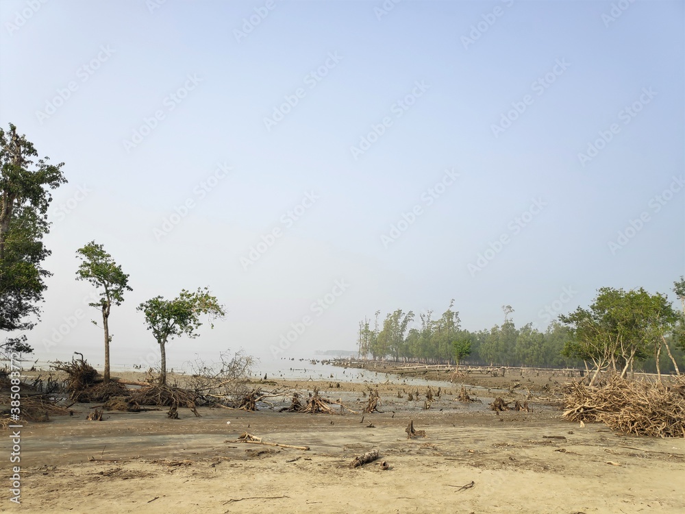 Inside the largest mangrove forest Sundarban in Bangladesh Stock Photo ...