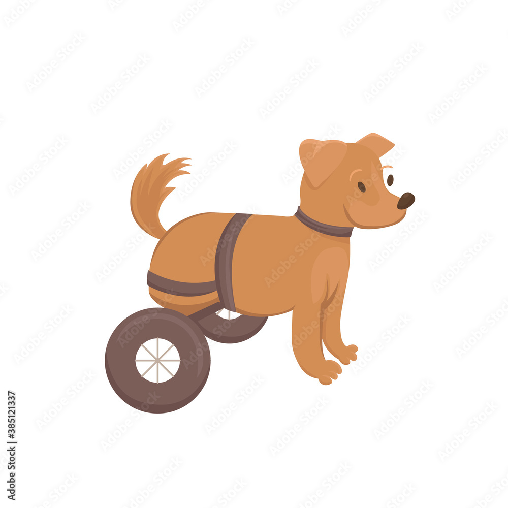 Legless dog on wheelchair vector illustration. Disabled pet isolated on ...