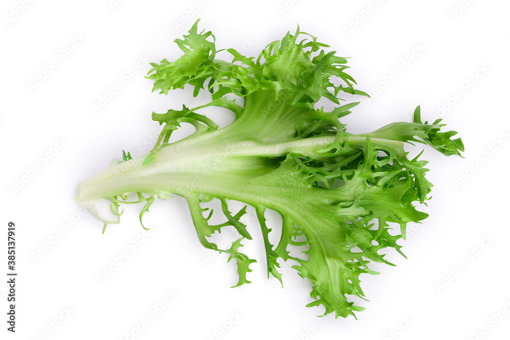 Fresh green leaves of endive frisee chicory salad isolated on white ...