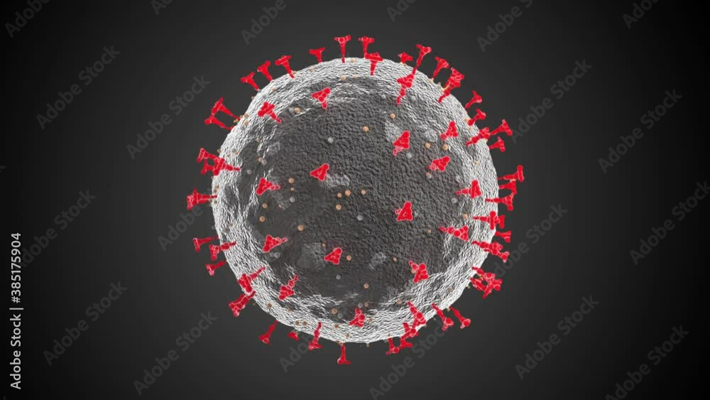 Realistic 3D animation of the severe acute respiratory syndrome ...