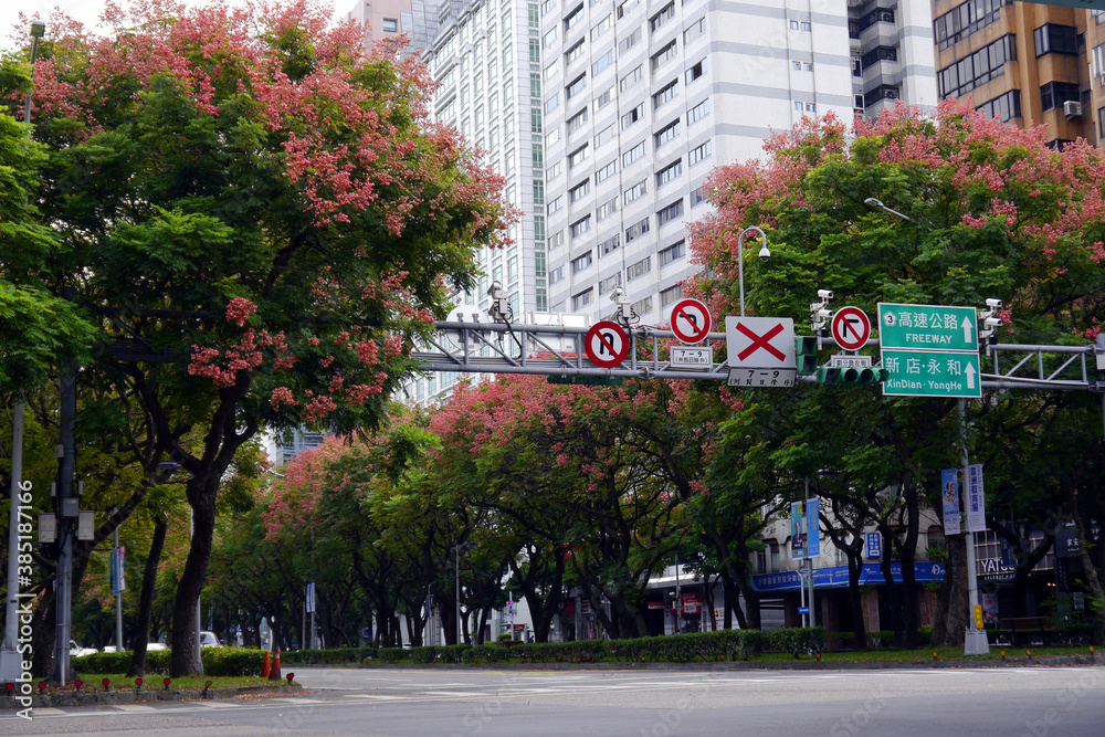 Taiwanese rain trees are blooming on both sides of the Dunhua South ...