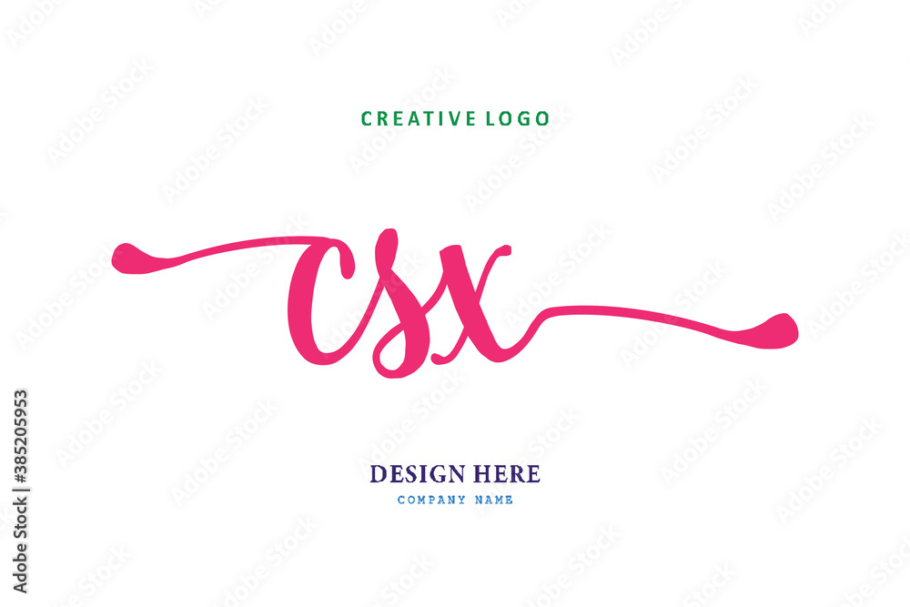simple CSX typeface logo is easy to understand, simple and ...