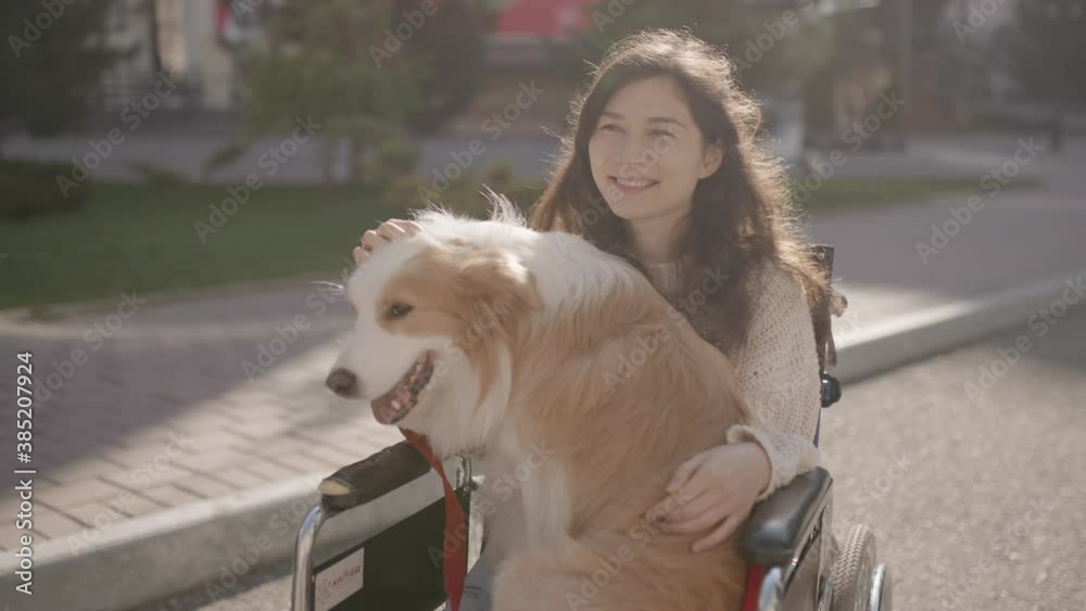 Portrait of disabled happy blind woman in wheelchair with her guide dog ...