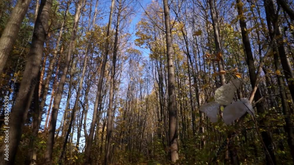 Plastic pollution of the forest and nature. Bottles, bags, and other ...