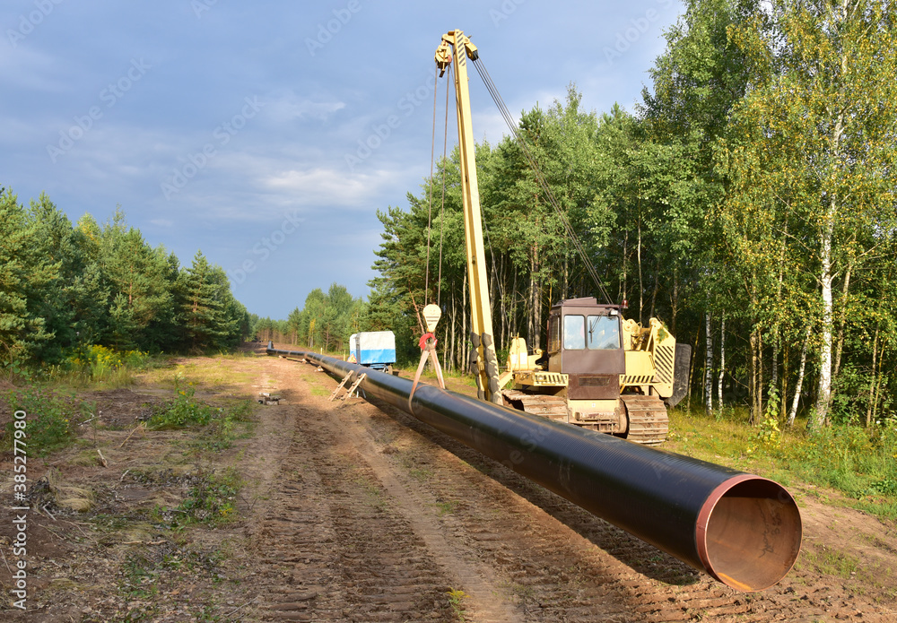 Natural gas pipeline construction work in forest area. Installation of ...