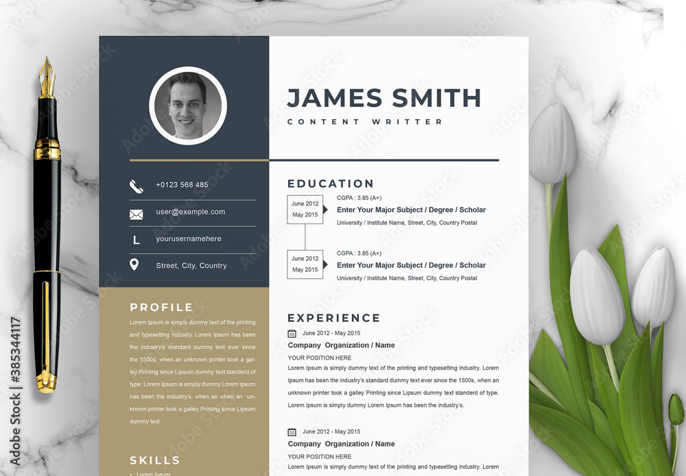 Professional Resume Template 100% Editable and Customisable Stock ...