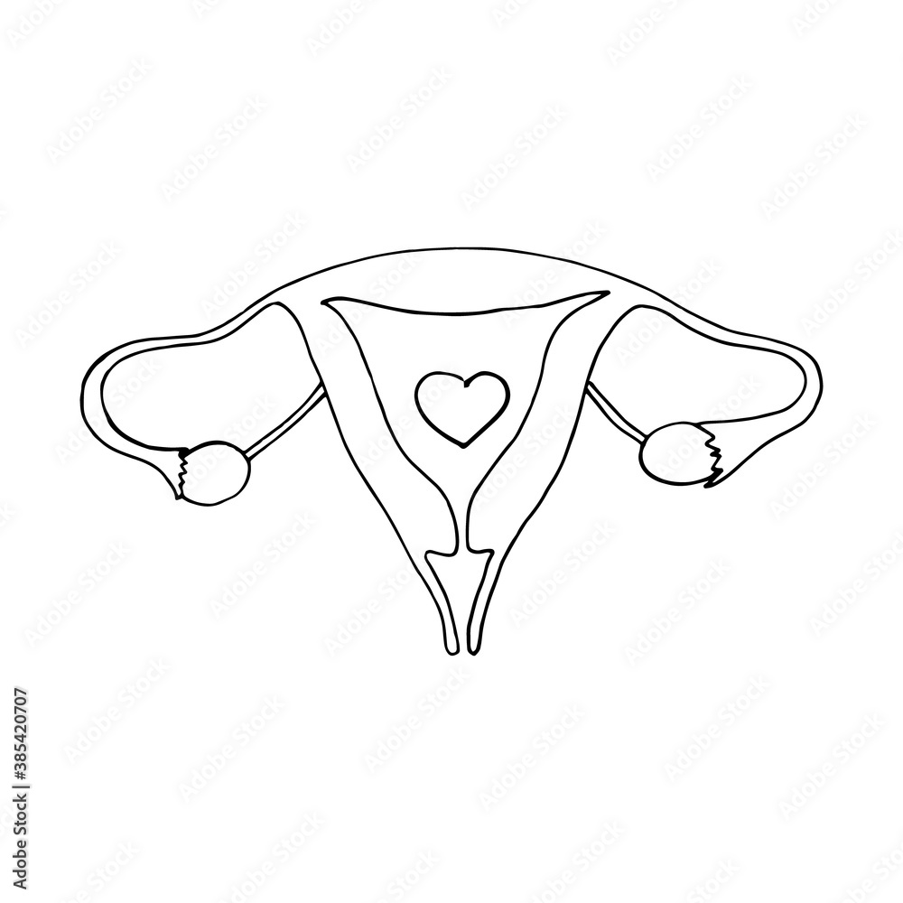 uterus female reproductive organs with heart sketch hand drawn doodle ...