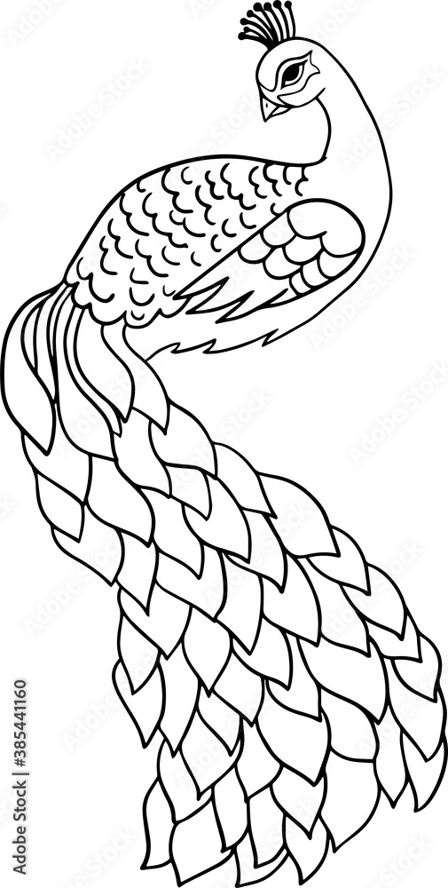 Vector cartoon peacock.Cute little peacock character, hand drawn vector ...