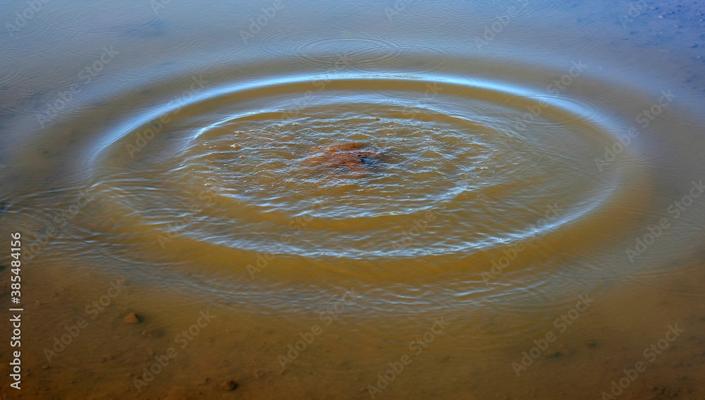 Water splash in a muddy puddle Stock Photo | Adobe Stock