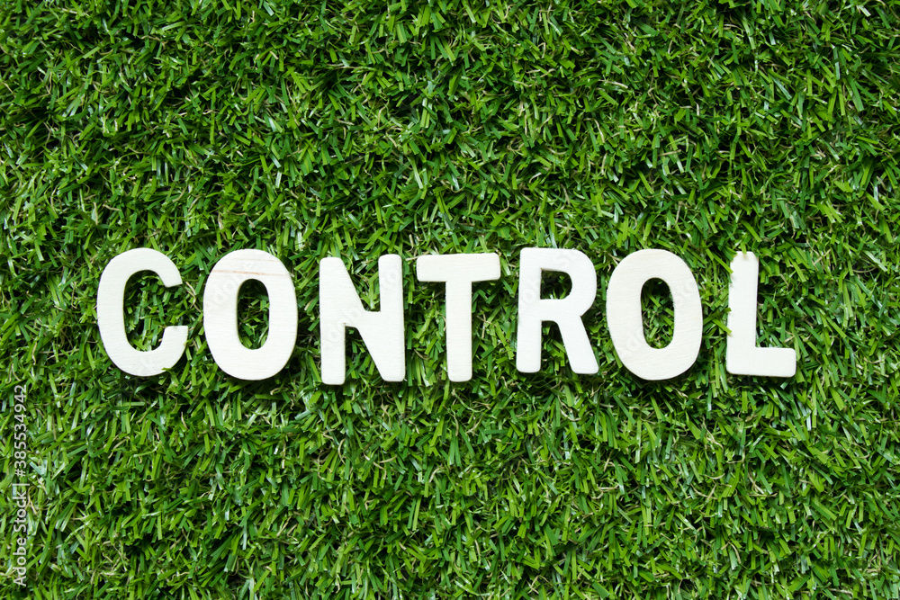 Wood alphabet letter in word control on artificial green grass ...