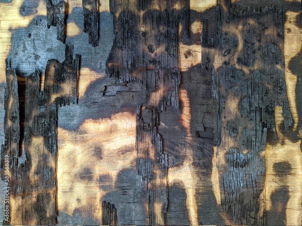 black wood texture of burnt tree after fire Stock Photo | Adobe Stock