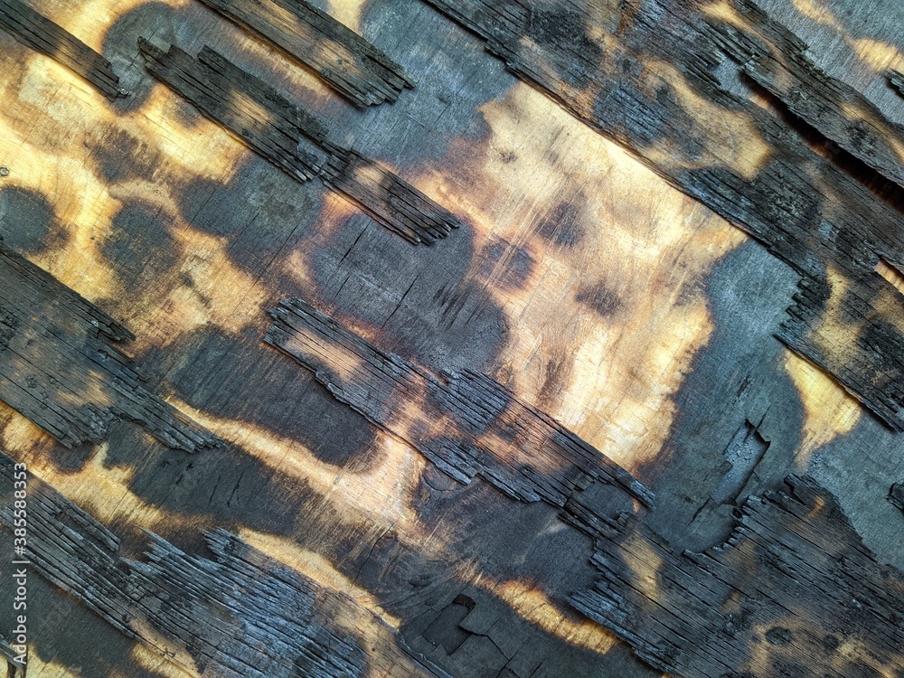 black wood texture of burnt tree after fire Stock Photo | Adobe Stock