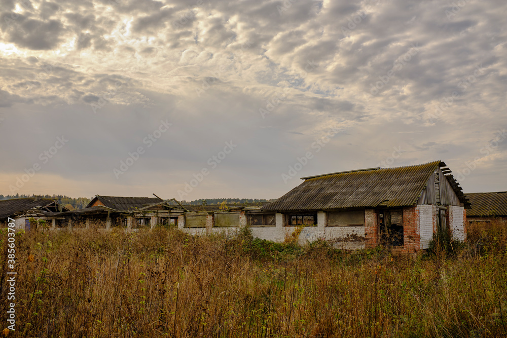 Abandoned, old, village farm, barn overgrown with shrubs and grass ...