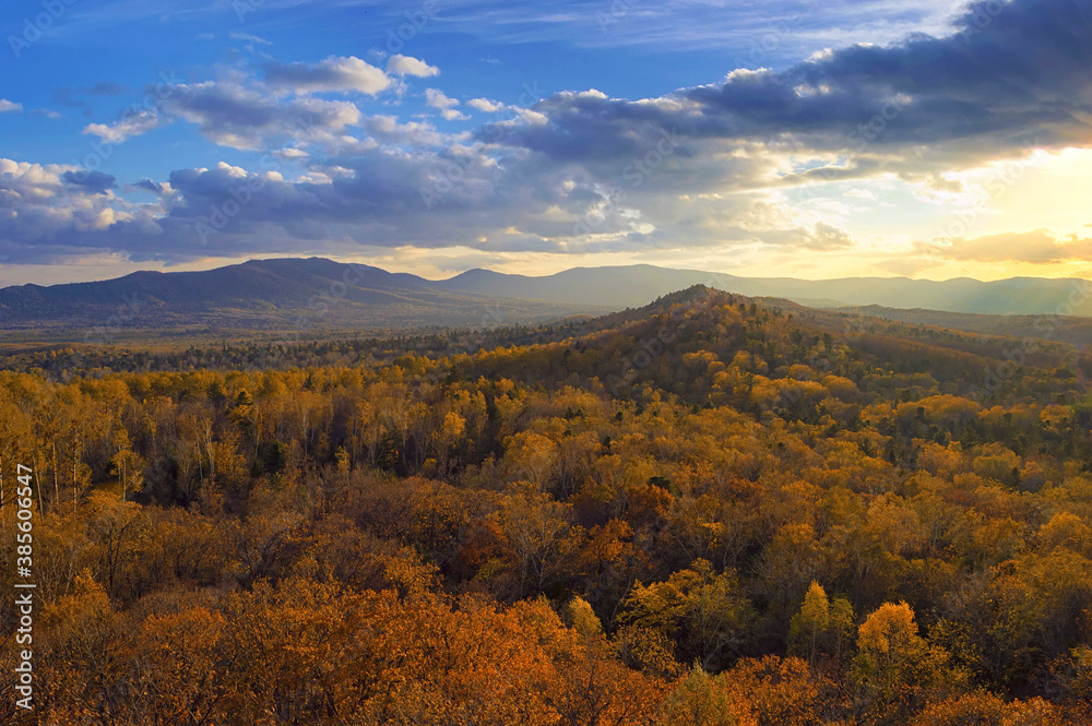 Mellow autumn in the far Eastern taiga forest. Bolshekhekhtsirsky ...