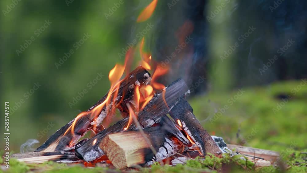 Campfire. Immersion in nature, counters the impact of online and urban ...