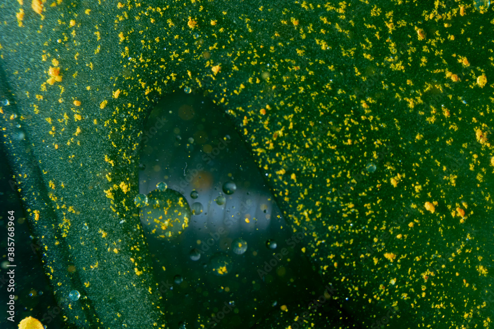 Pollution fluids. Series of photographs of particles, bubbles and ...