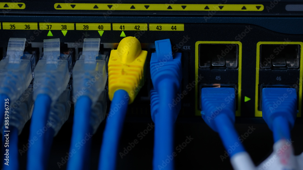 Network gigabit switch and UTP port cat 6 ethernet cables close-up in ...