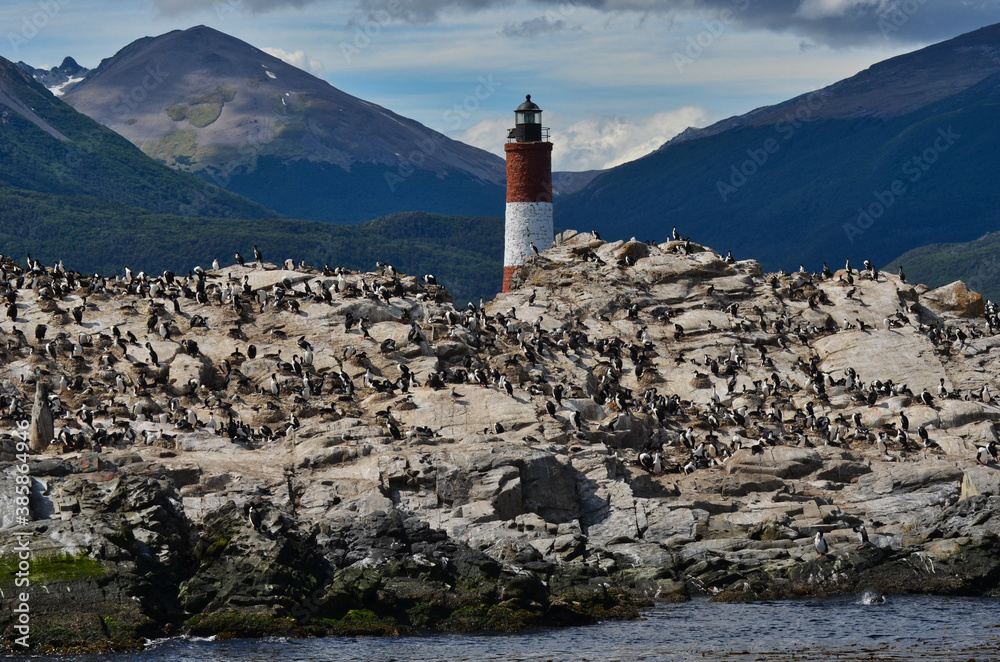 Beagle Channel Landscape with Island with Birds and Seals with ...