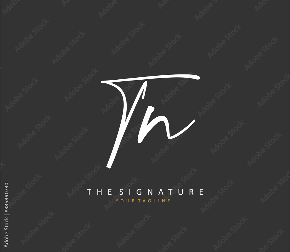 T N TN Initial letter handwriting and signature logo. A concept ...