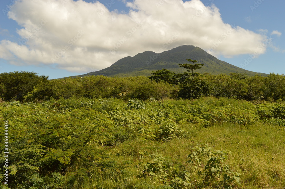 The beautiful paradise beaches on the St Kitts And Nevis Islands in the ...