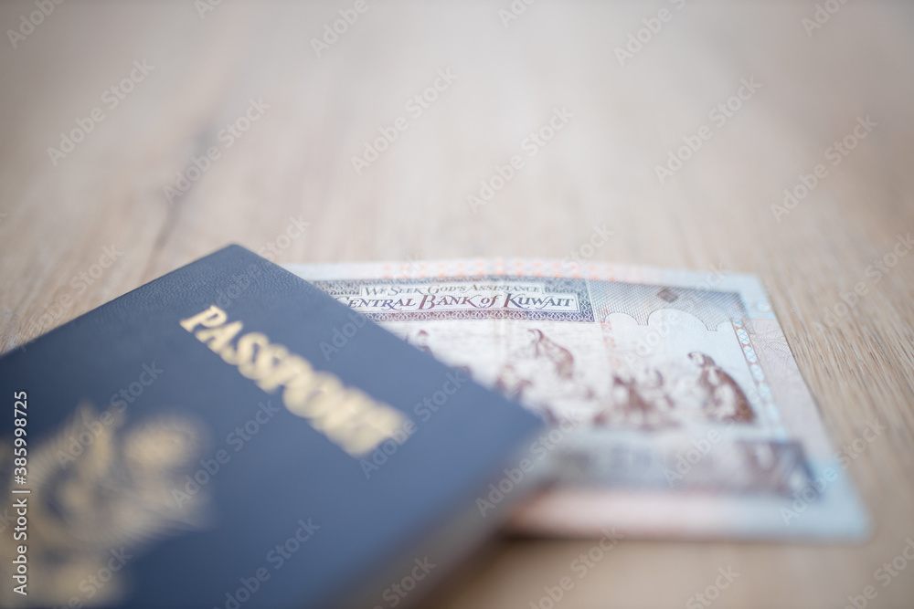 American Passport Inside