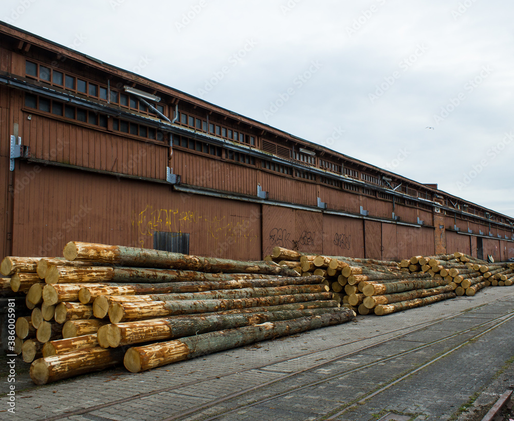 Sharpened tree trunks are stacked in front of old warehouses Pile ...