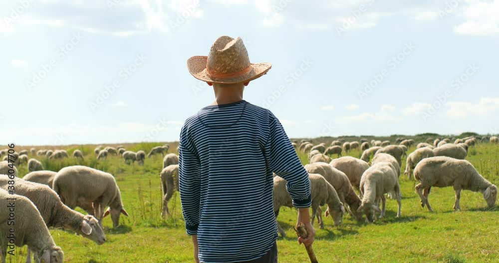 Rear on Caucasian small teen boy in hat walking outdoor in field and ...