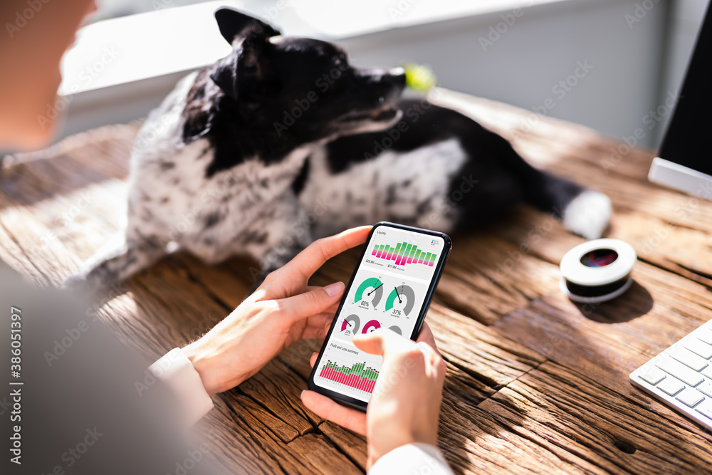 Women Using KPI Data Analyst App Stock Photo | Adobe Stock