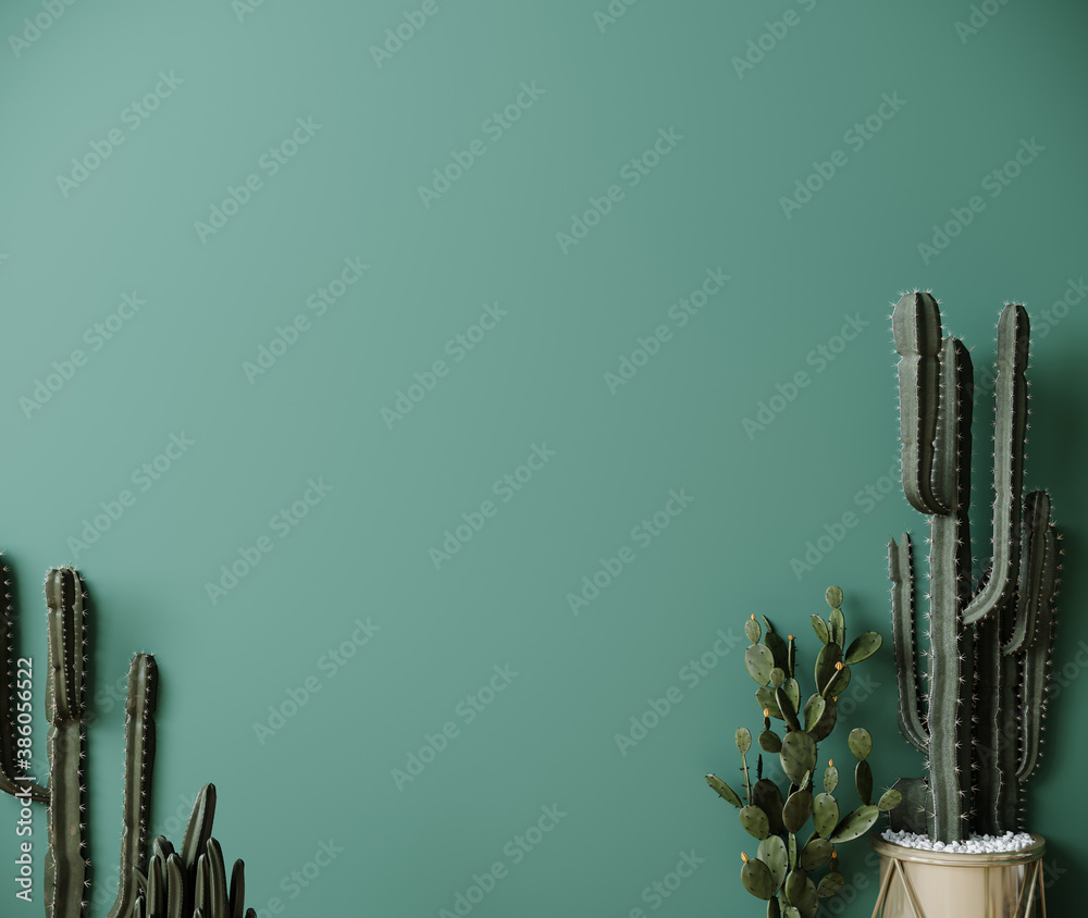 Cactus plant background, trendy green minimal background with cactus ...
