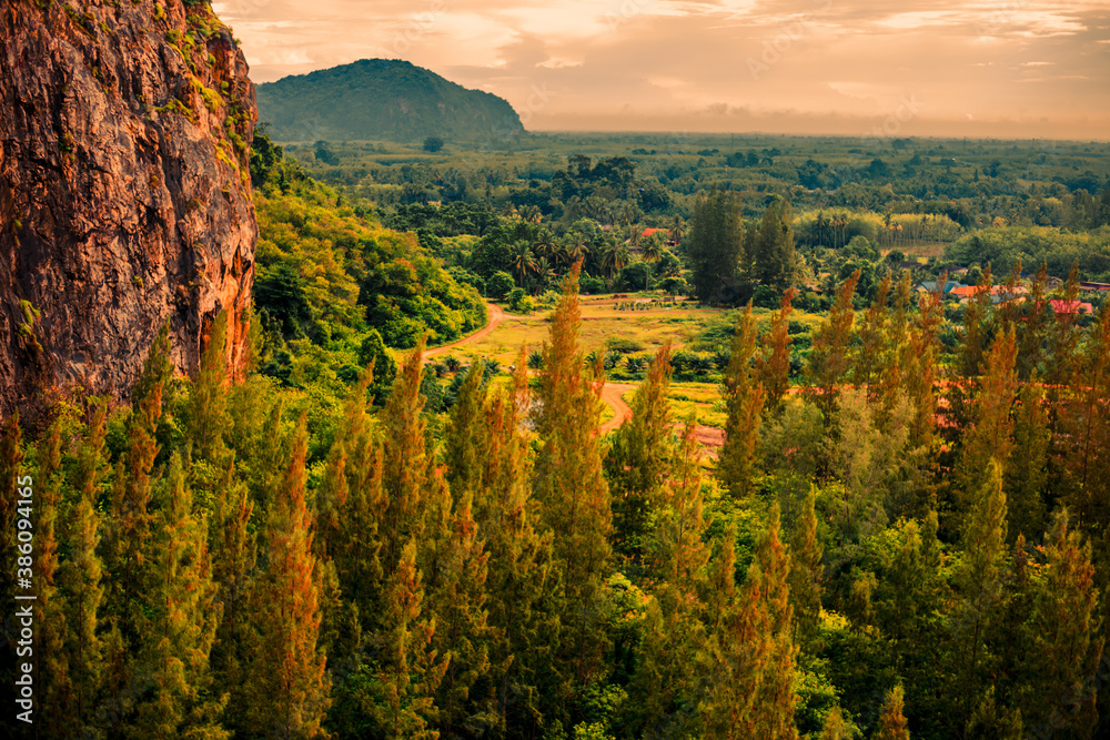 Blurred nature background view of naturally occurring trees and ...