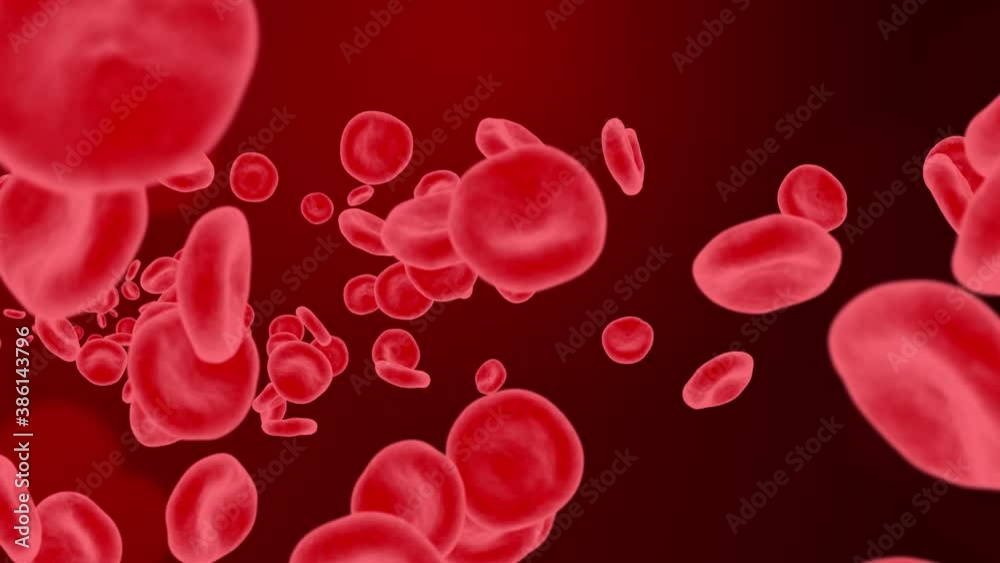 Abstract Flying through realistic blood vessel with blood cells Inside ...