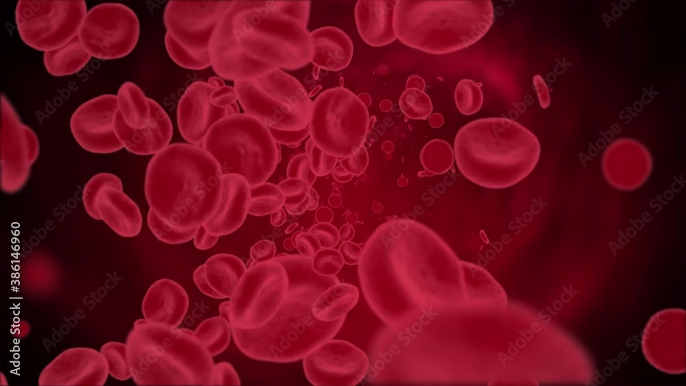 Erythrocyte red blood cells, anatomy medical concept Loop Animation ...