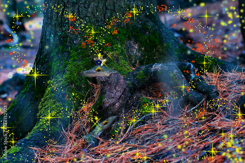 Magical, fantastic coniferous forest with pine trees and tree roots ...