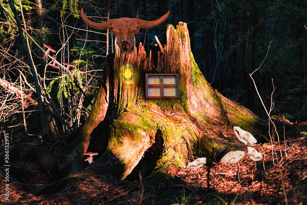 Magical, fantastic coniferous forest with pine trees and tree roots ...