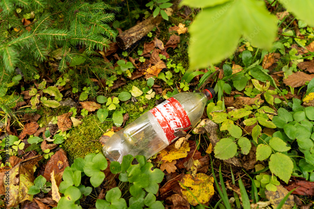 Old Coca cola bottle in the forest. Plastic recycling, pollution and ...
