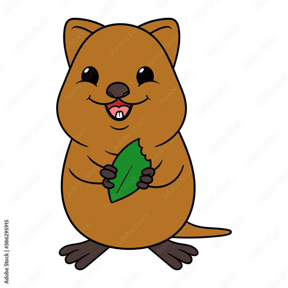 Cartoon Cute Quokka Vector Illustration Stock Vector | Adobe Stock