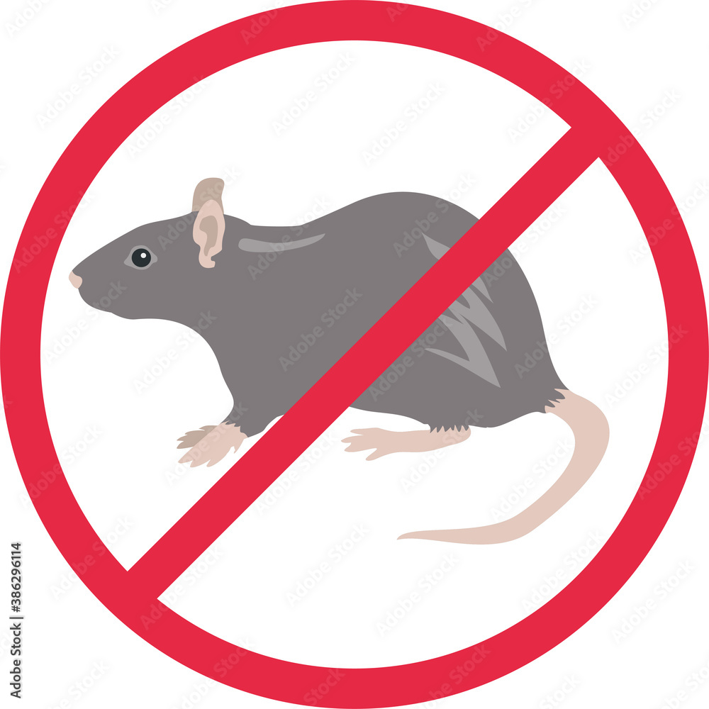 Rat crossed out in red in a circle, isolated on white background. Flat ...