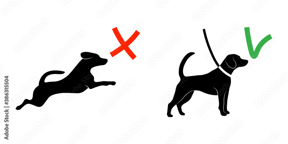 Keep your dog on a leash. Pet on lead allowed only. Regulation sign for ...