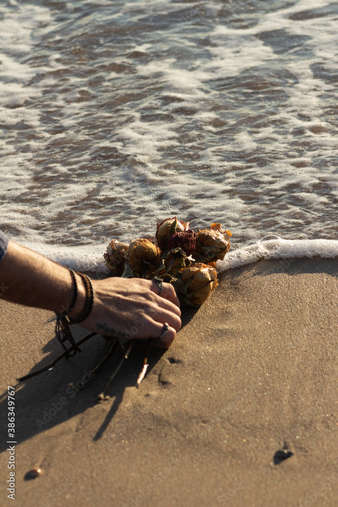 Mano de hombre con anillos y pulseras dejando ramo de flores rojas y ...