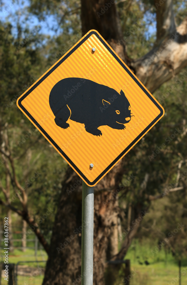 Australian road sign warning of the possibility of wombats. Stock-Foto ...