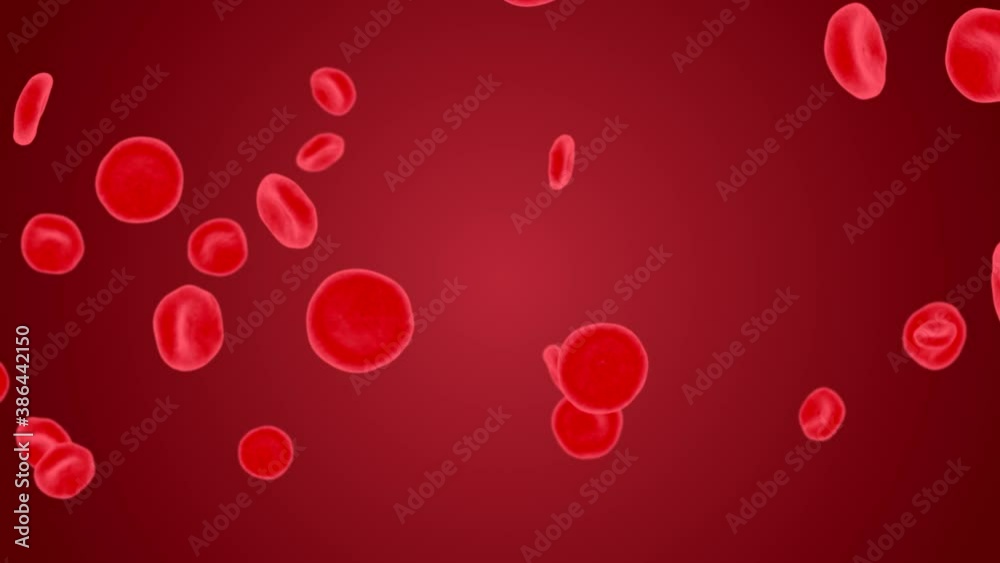 Red blood cells in vein Human blood 4K 3D Alpha Channel loop Animation ...