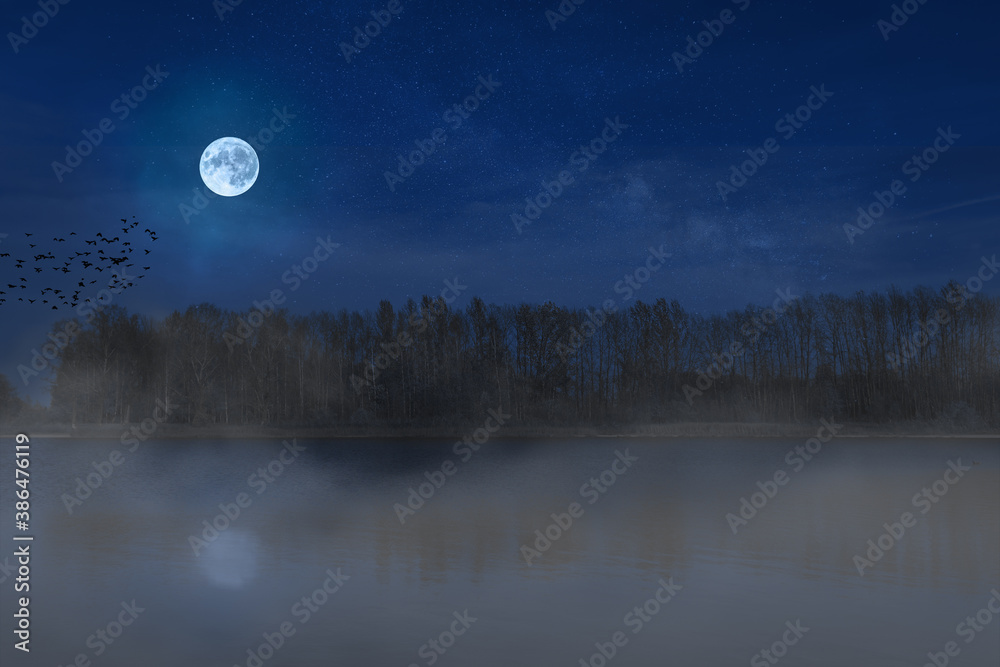 Fog Trees Moon