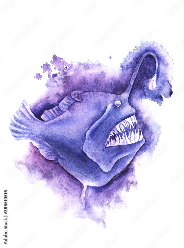 Watercolor image of blue-purple angler fish on white background. Hand ...