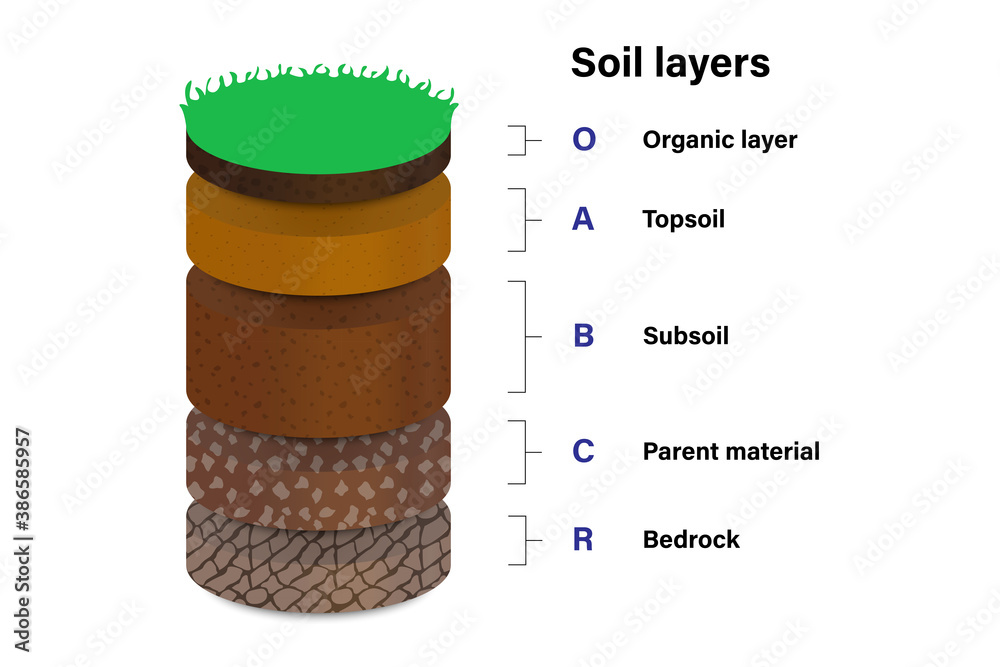 Soil layers for education, Geological study, Diagram showing different ...