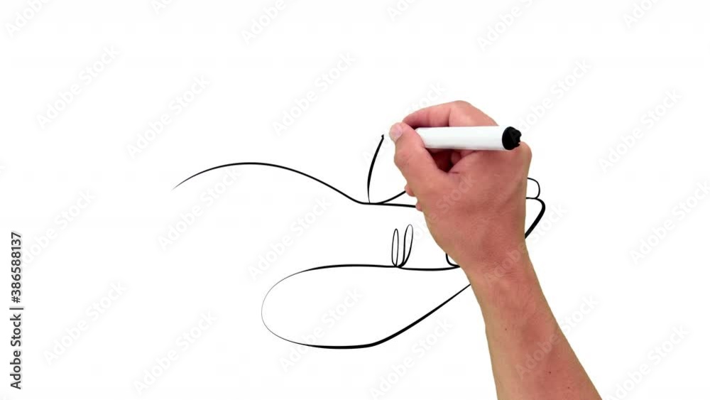 Palm and green sprout drawn by a continuous line. Animation on white ...