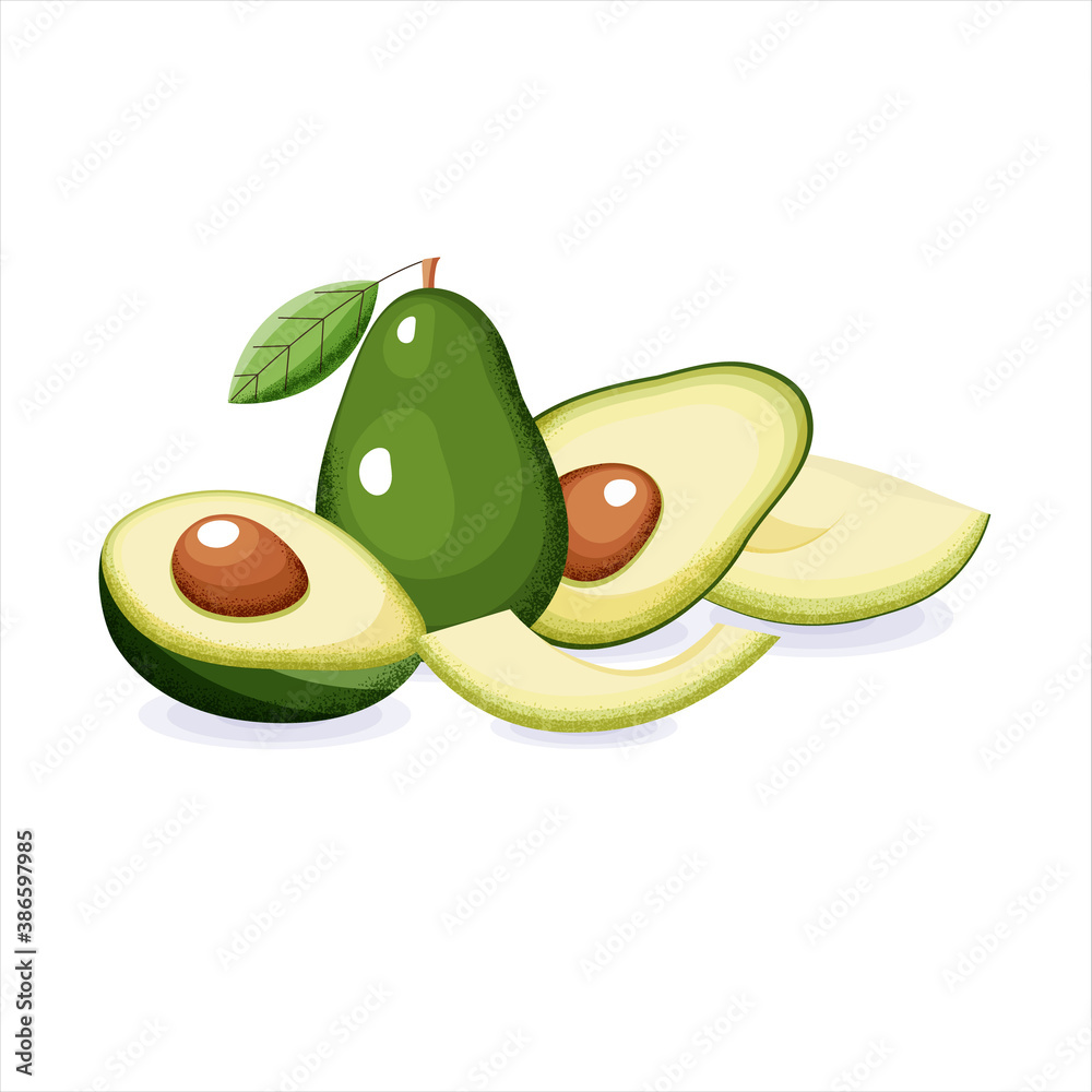 Vector illustration of whole and half avocado with and without seeds ...