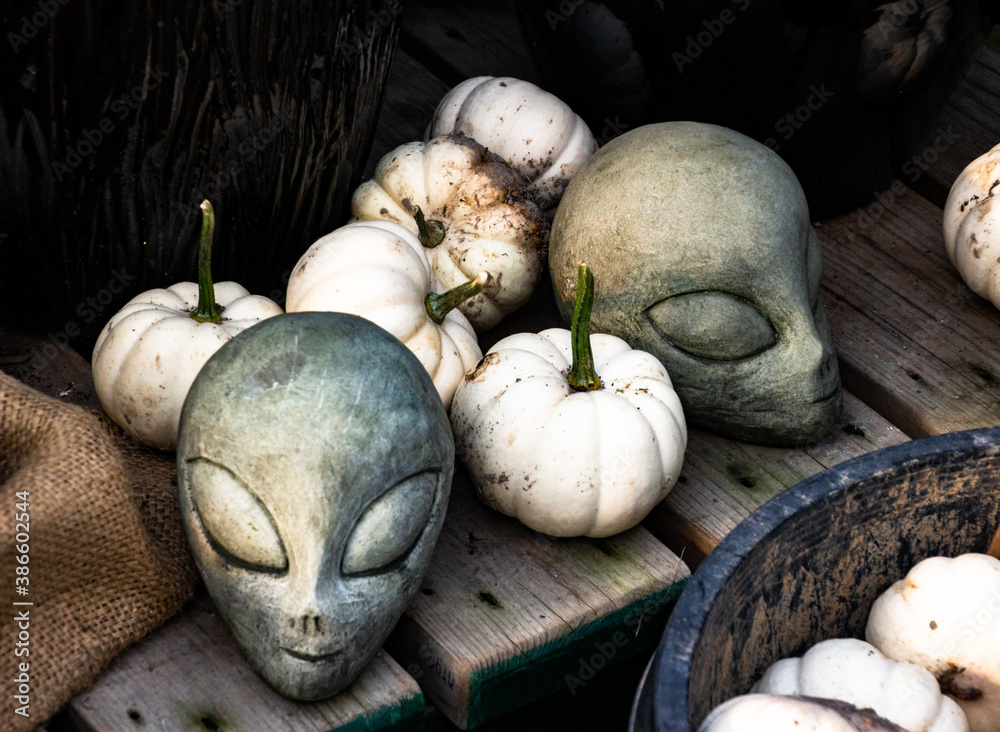Alien Heads with pumpkins Stock Photo | Adobe Stock