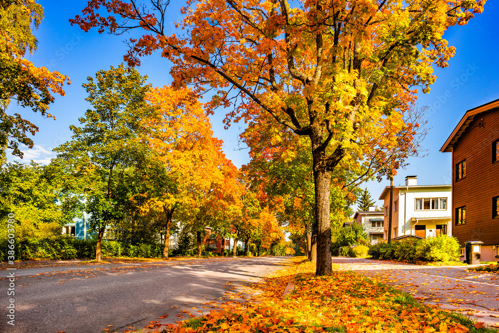 A city street with trees in autumn season. Bright colorful view of fall ...