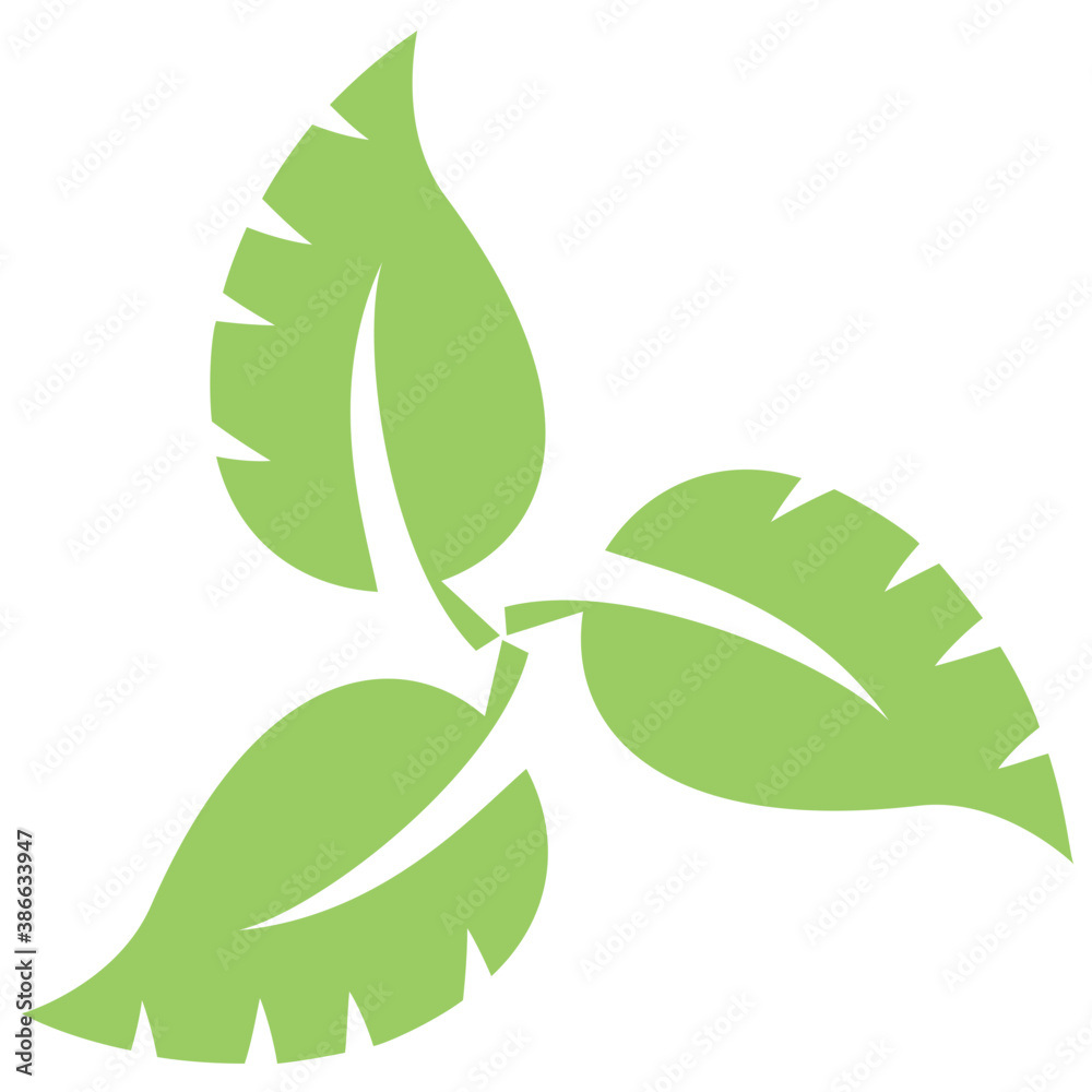 Two common leaves placed together as two components to show bipartite ...