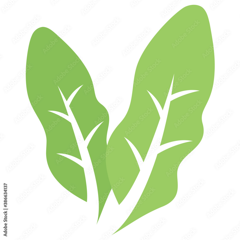 Two common leaves placed together as two components to show bipartite ...